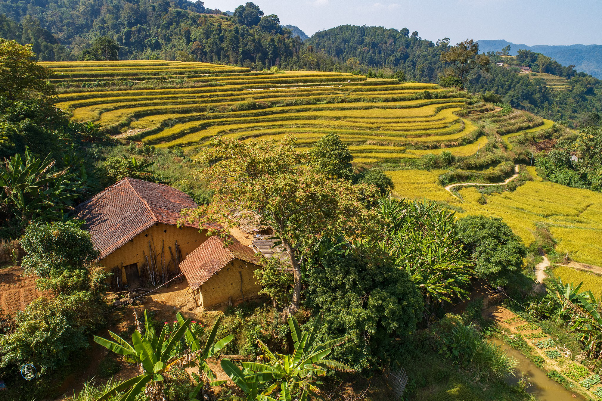 Thêm một điểm du lịch được nhuộm vàng mùa lúa chín, lên lịch hò hẹn về ...