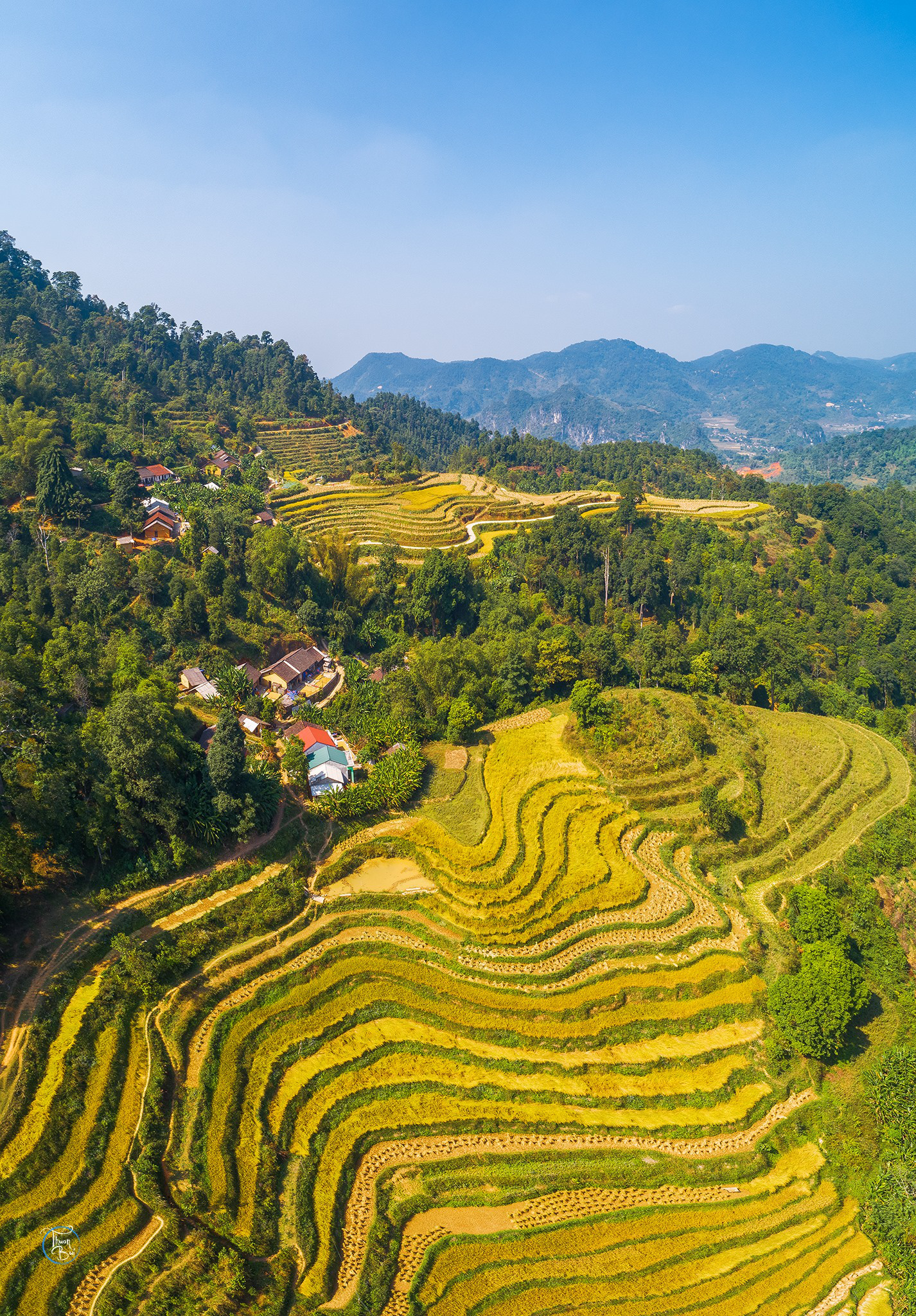 Thêm một điểm du lịch được nhuộm vàng mùa lúa chín, lên lịch hò hẹn về ...