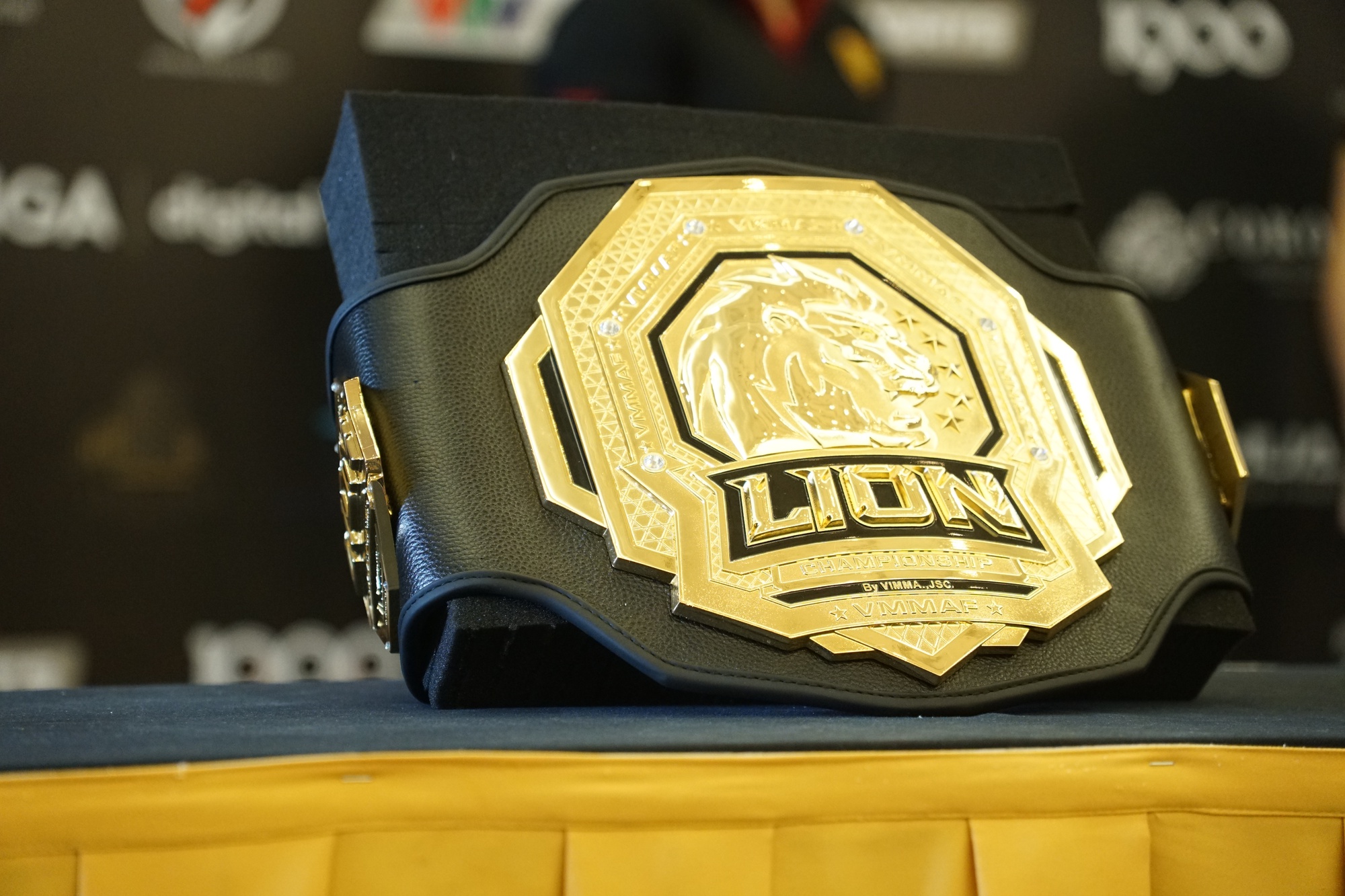 Các võ sĩ vượt qua buổi cân ký, sẵn sàng cho chung kết LION Championship