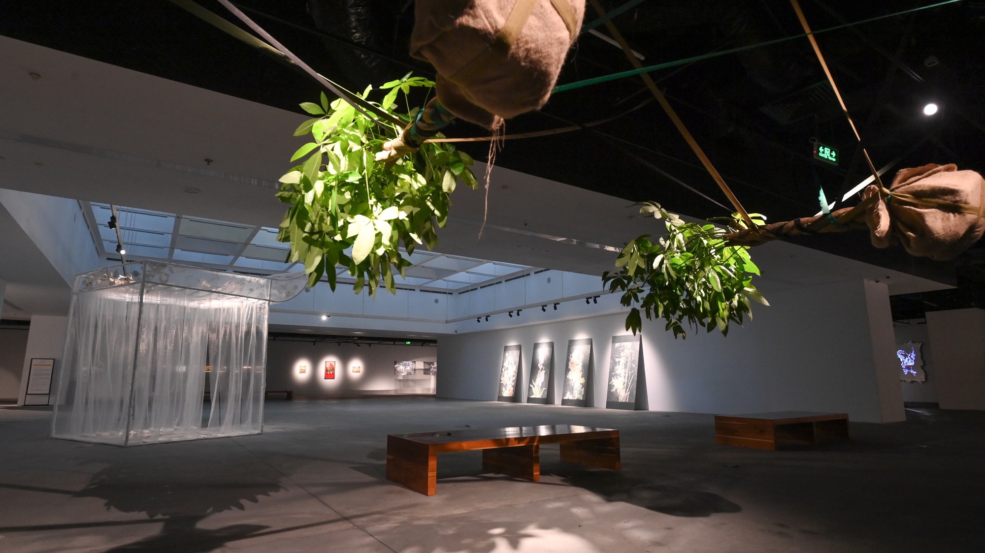 VCCA giới thiệu triển lãm "Tỏa IV"