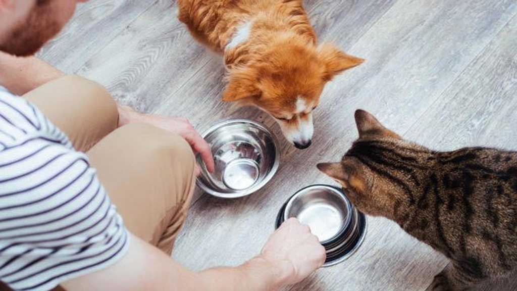 Nhà thiết kế Jesse Thái 'mách' nam giới độc thân cách tối ưu hóa nhà studio