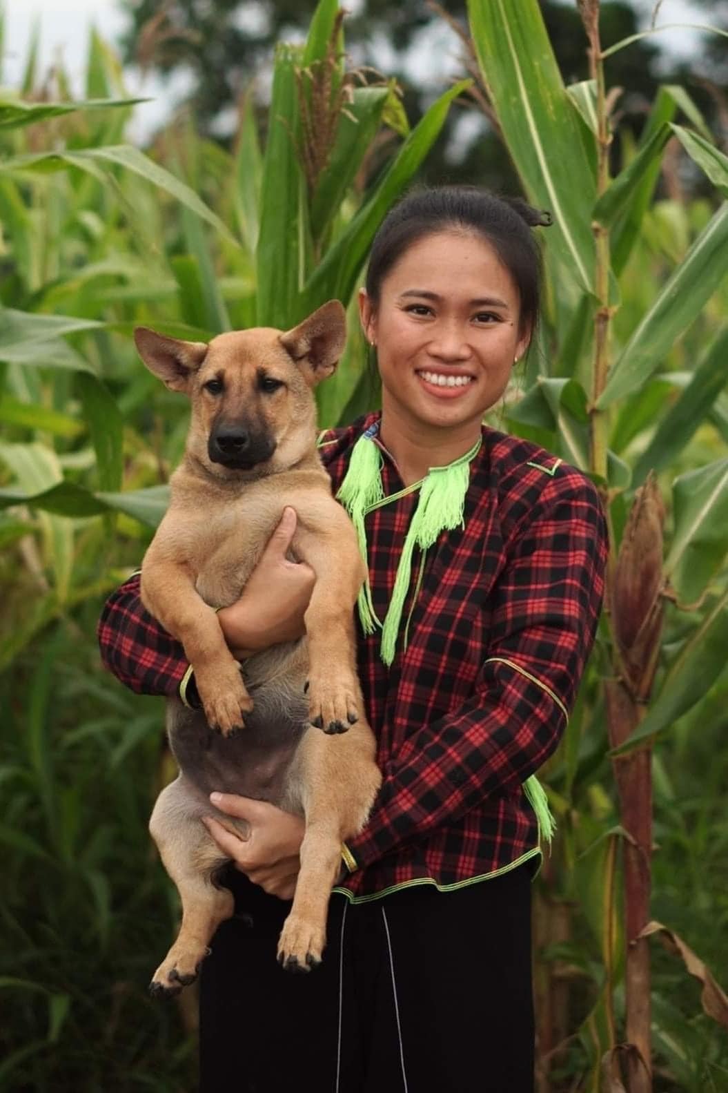 An Đen bỏ phố về rừng: Kiên định gieo điều tích cực theo cách riêng