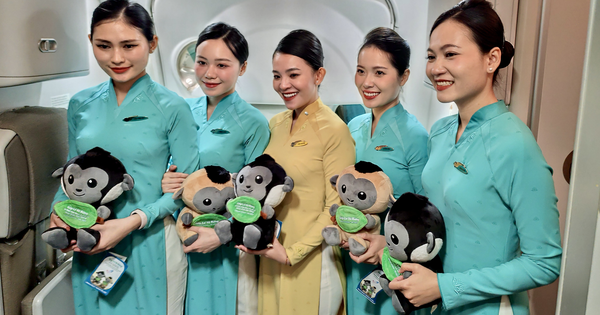 Chuyến bay đặc biệt của Vietnam Airlines với lời tuyên ngôn bảo vệ môi ...