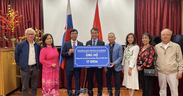 Hỗ trợ Việt Nam khắc phục hậu quả mưa lũ